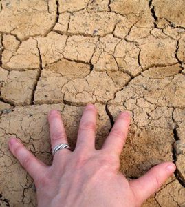 ISPUCALE RUKE (svi razlozi zbog kojih se javlja ispucala koža na ...